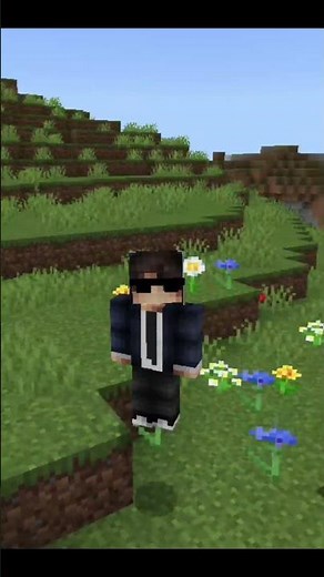 MINECRAFT OLD MEMORY ARE BACK