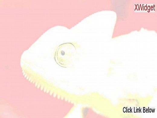 XWidget Keygen - Risk Free Download