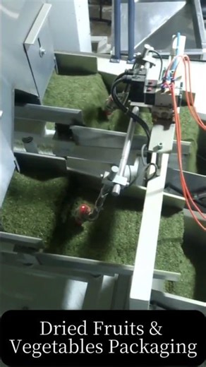 Automatic Dried Fruits & Vegetables Packaging Machine #PackagingMachine #DriedFruits