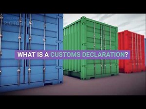 What is a Customs Declaration | SAP GTS Training |