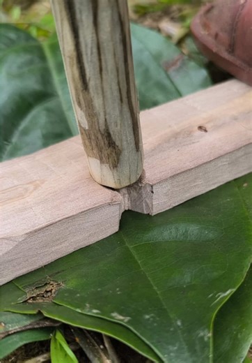 Master Survival Fire Making Skills with Wood Techniques