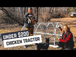 How to Build a Chicken Tractor | Easy PVC Chicken Tractor Build Under $200