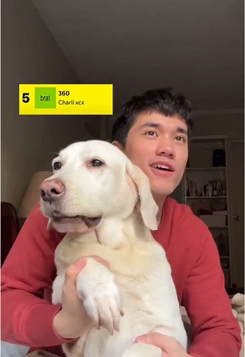 Exploring My Inconsistent Music Taste with Spotify Wrapped