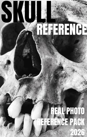 Skull Reference Pack | Real Human Skull Photos | Tattoo & Drawing Anatomy | 80 Page PDF - Etsy
