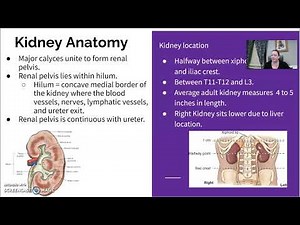 Urinary System Imaging # 1