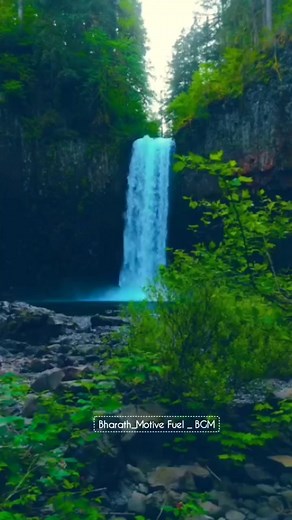 111K views · 4.5K reactions | https://t.me/alltimefavouritesong...