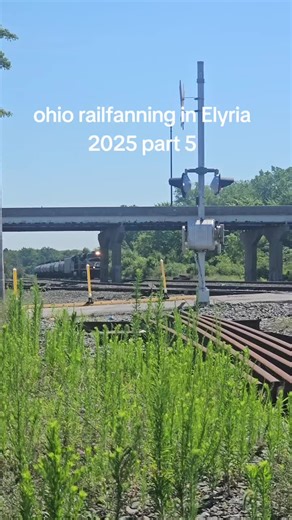more railfanning in Elyria Ohio 2025. #railfanning #ohio #railfanning #northfolksouthern #conrail