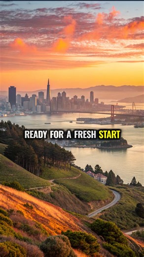 #local movers/Bay Area/best movers/ long distance moves/ ovamovers.com