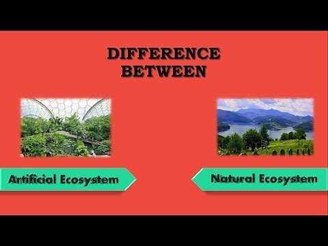 Difference between Artificial and Natural ecosystem - Artificial vs Natural ecosystem