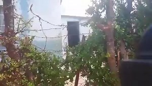 57K views · 3.1K reactions | LANDLORD MDAWINI & NEIGHBOR part 1. Remember Mdawini's favorite beverage is STAR BRANDY AND STAR CANE. | Mdawini Sibanda Tshuma aka Uncle Zex Comedy | Facebook