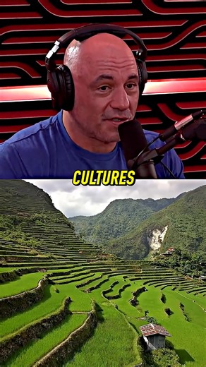 Joe Rogan On The Benefits of White Rice | RogCast