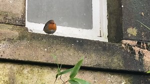 Thank you mum for this amazing sign on your birthday ! How wonderful is this xxxx | Paula Obrien Psychic Medium