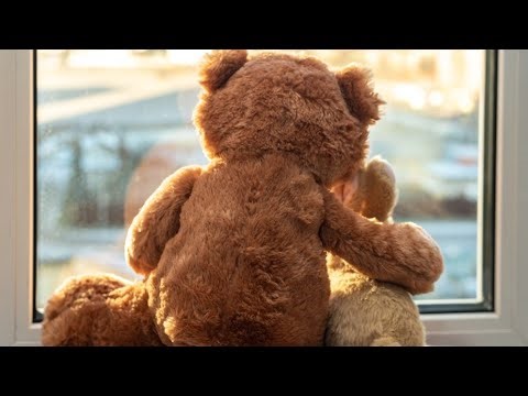 Sensitivity Training: Parshat Ki Teitzei