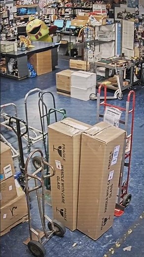 Win or Lose | Now Available on Disney+