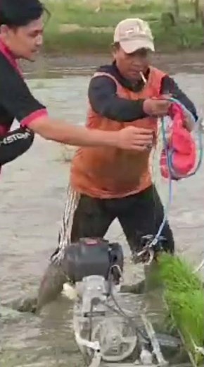 Paddy Transplanter Machine : Mesin Tanam Padi Canggih & Modern