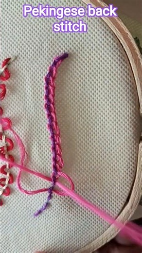 "Stitch your way to perfection with Pekingese back stitch! 💫👗#embroidery #craft #new"