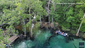 163K views · 1.1K reactions | 60-FOOT FALL: A Florida man was lucky to walk away with only minor injuries after falling 60 feet off a tree he was standing on after the branch broke. https://bit.ly/4cUqPi1 | WFLA News Channel 8 | Facebook
