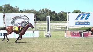 231126 c01 OPEN BAR (ARG) | Mas Hípica TV