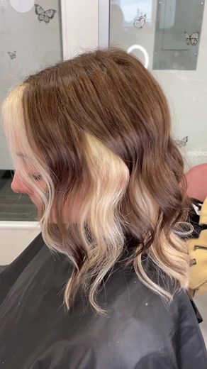 Color Block Hair Ideas with Brown and White Highlights