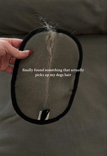 Ultimate Pet Hair Removal Tool for Couch Cleaning