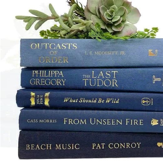 Used Hardcover Books Styled by Color for Home Decor, Damaged Books at LOW Prices - Etsy