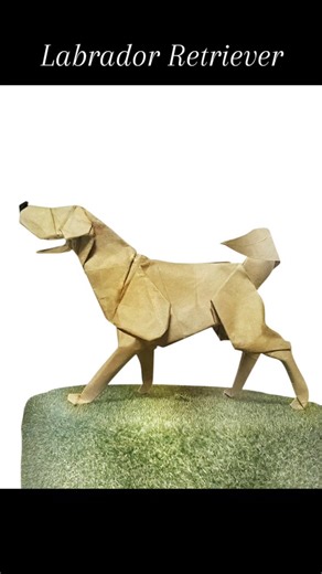 京ちゃんORIGAMI on Instagram: "Origami Labrador Retriever 萩原元 Designed by @genorigami Folded by me (@kyo_chan_origami ) From《Spirits of Origami》 Paper Size : 30cm #折り紙 #origami #paper #paperart #craft #papercraft #art #dog #dogart #犬 #イヌ #ラブラドールレトリバー"
