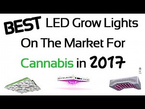 25 Best LED Grow Lights for Cannabis in 2017 - Review and Guide for Indoor Gardening