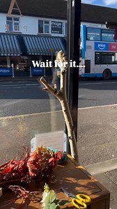 Our new autumn window display is officially here and we’re ready for cosy sweater weather, hot drinks, and all things pumpkin! Come check out the fall magic we’ve created. ✨. #ballyhackamore #AutumnVibes #October1st #autumndecor #NewWindowDisplay #ShopLocal | A WEE TOKEN