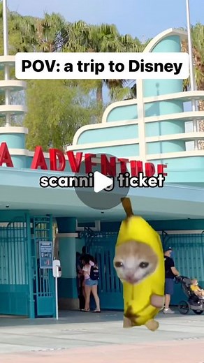 Tim ☁️✈️🎢 on Instagram: "✨FOLLOW ME FOR MORE✨ @nottimmilles #disneygram #disneyinsta #disneyinstagram #disney #disneyland #disneyworld #wdw #dlr #disneyadult #castmember #castmemberlife #magickey #magickeyholder #disneyadults #fyp #disneyfyp"