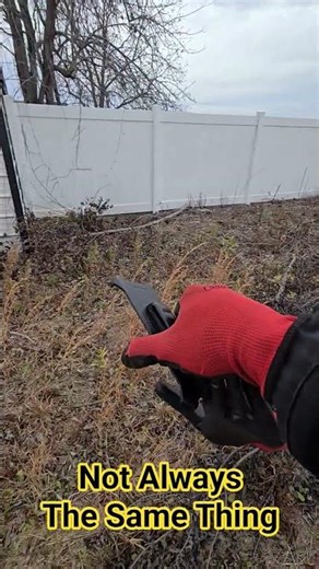 Not Always The SameThing #stump #stumps #stumping #stumpwork #stumpgrinder #stumpgrinding