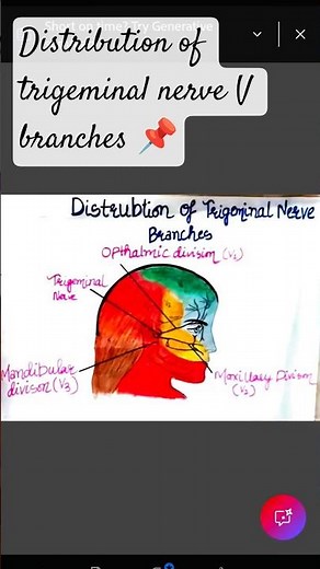 👉“Trigeminal Nerve Distribution” ✅ focuses on where each branch goes.Detailed Diagram