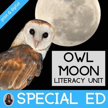 Owl Moon Worksheets Winter Read Alouds with Activities Snow Day Book Special Ed