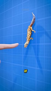 Do this if a lizard bites you #fbreelsfypシ゚ #lizardbite | Viral Vibe