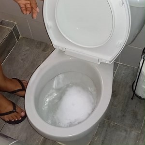 Mezcla que mantine el inodoro sin manchas. | Consejos Para tu Hogar