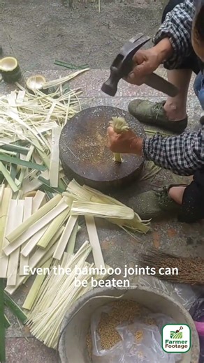 Extracting bamboo fibers