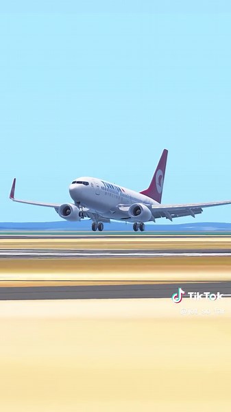Boeing 737 and Turkish Airlines in Action