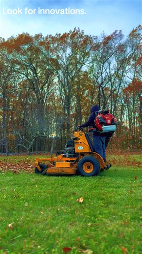 Innovative Insights from Client Interactions