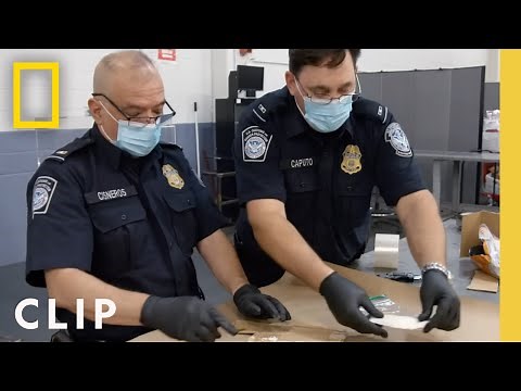 Meth in the City (Clip) | To Catch a Smuggler | National Geographic