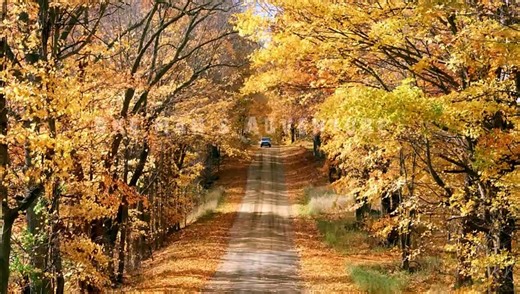 Squatch | movie | 2026 | Official Trailer