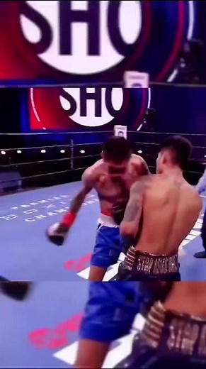 Insane Knockout Techniques in Boxing