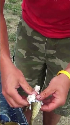 How To Clean a Frog For Cooking Frog Legs