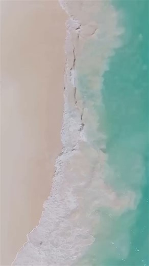 New look, same paradise. 🌴✨Book a flight hotel package to the newly renovated Grand Palladium Select Bavaro for exclusive savings & perks. | JetBlue Vacations