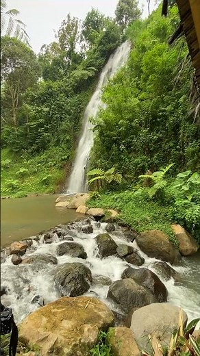 Nature Sound Recording Behind the Scenes