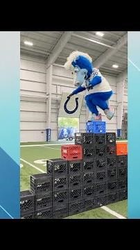 Indianapolis Colts mascot Blue crushes milk-crate challenge with seven-high stack