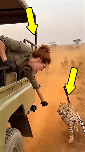 #روفيا #كارولين #مشاهير_تيك_توك #اوبيرا #ريبيكا #hana_beauty #فرنس #france #paris #roufia #roufiaworldofficiel #truding #Dzpower #fouryou #fry #dancersanatan فيديو تحفيزي للدراسة فيديو تحفيزي بالدارجة المغربية فيديو تحفيزي عربي فيديو تحفيزي عن الدراسة فيديو تحفيزي للبكالوريا فيديو تحفيزي للدراسة بالعربي فيديو تحفيزي كمال اجسام فيديو تحفيزي يوري بويكا فيديو تحفيزي يشعل النار في قلبك فيديو تحفيزي يوسف انفا فيديو تحفيزي يجعلك تبكي تحفيز الذات تحفيز للنجاح تحفيزي,تحفيزات تحفيز على الدراسة تحفيز كمال