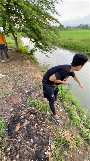 tebar jala di spot ini!! banyak ikan nila babon ukuran raksasa!! #jalaikan | Allday pedia