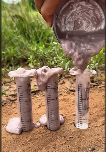 Smart Outdoor Survival Skills for Camping Enthusiasts