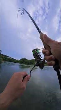 VIB & Metal Blade Lures Tutorial – Efficient Fishing with Spinning Reels #reeffun