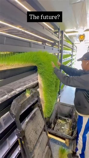 Parmbir johal on Instagram: "$bynd should just sell this 😂 ☠️"