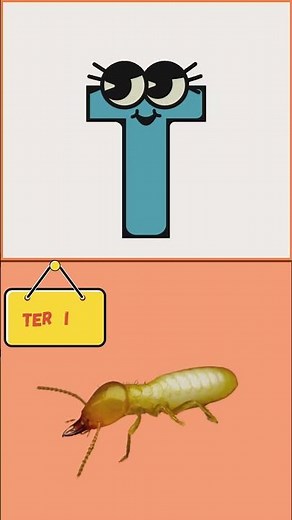 Bug Bop ABCs Part 2: Quick Insect Alphabet Song for Toddlers#kids #viral #foryou #kidsvideo